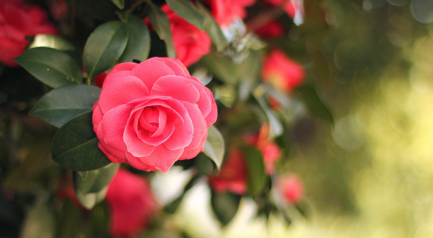 Startseite - Andreas Moos